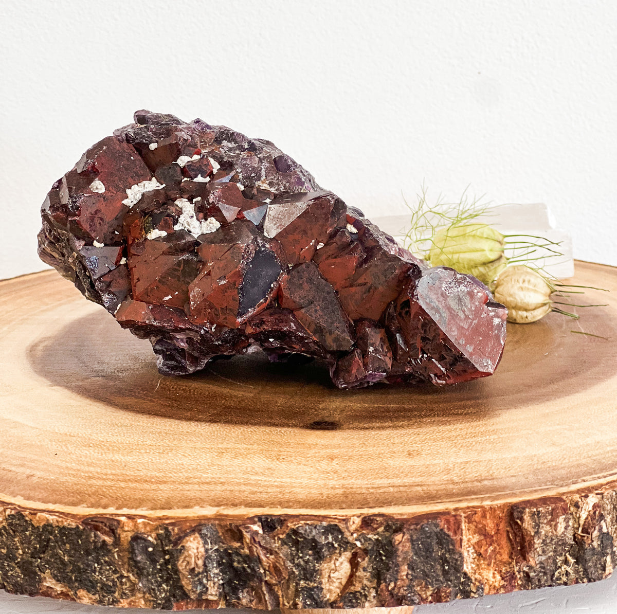 Amethyst Cluster "Alien Amethyst" Hematite and Iron Included Amethyst ...